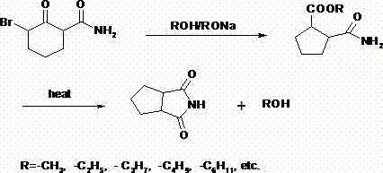 CN102850257A - Preparation method of 1,2-cyclopentane dicarboximide ...