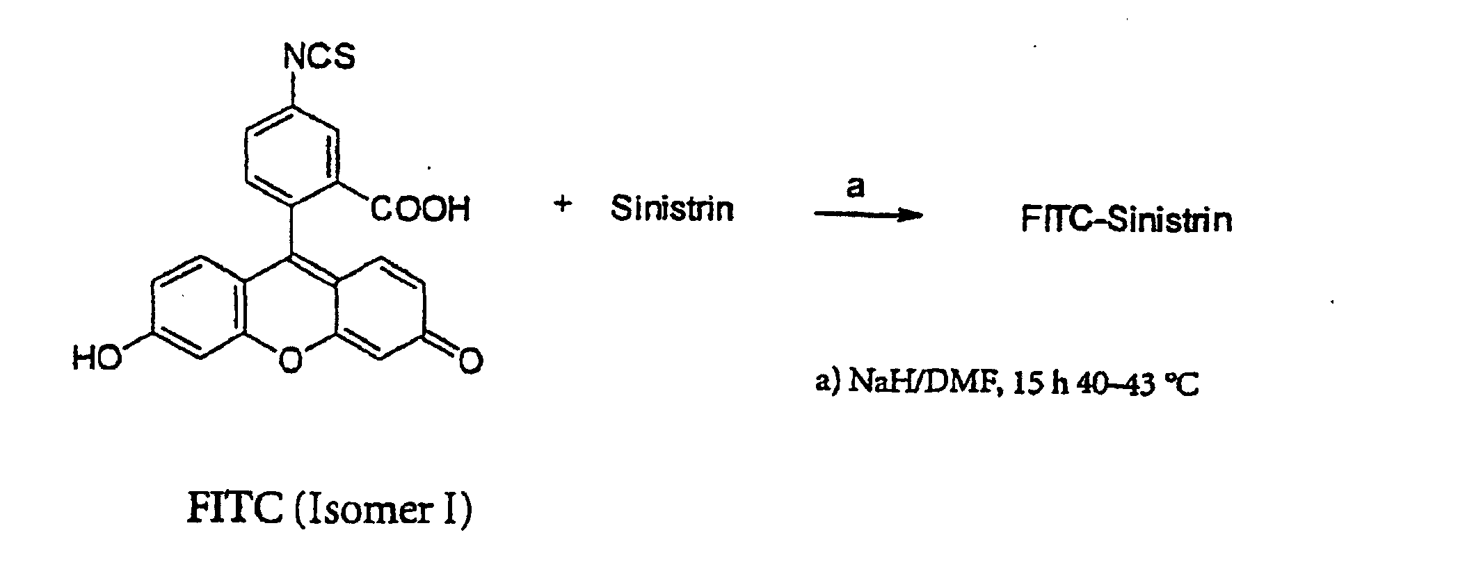 EP1290035B1 - Fluorescein isothiocyanate (fitc) sinistrin, its ...