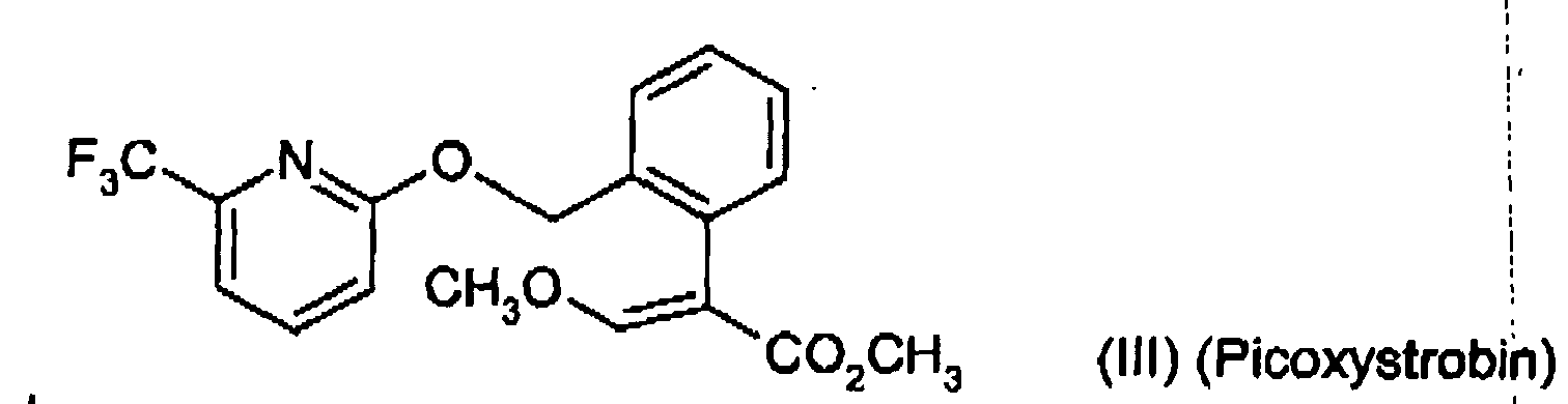 EP1642499B1 - Fungicidal mixtures based on prothioconazole and ...