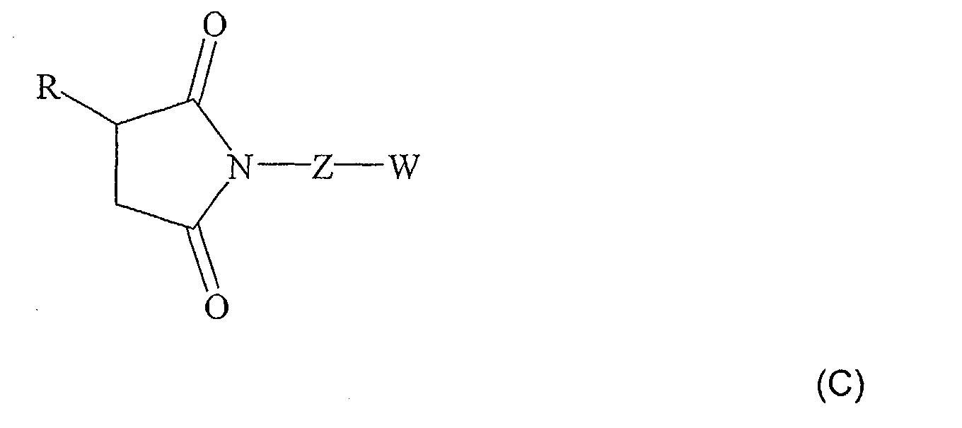 EP1424322A1 - Low molecular weight branched alkenyl succinic acid ...