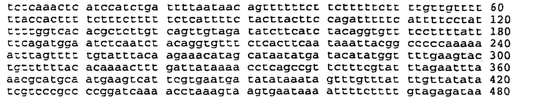 EP1185656B1 - Use of the bnm3 transcriptional activator to control ...