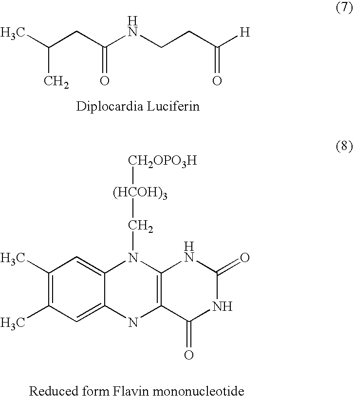 US7125697B2 - Luciferase and photoprotein - Google Patents