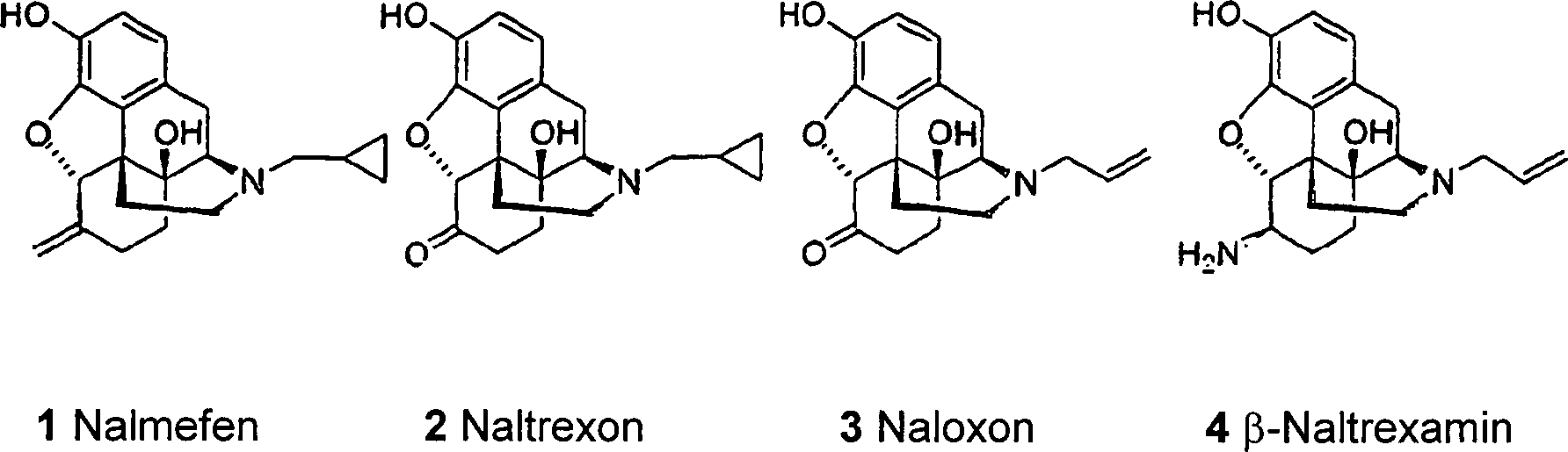 DE602004012403T2 - COMPOSITIONS FOR INFLUENCING LOSS OF WEIGHT - Google ...