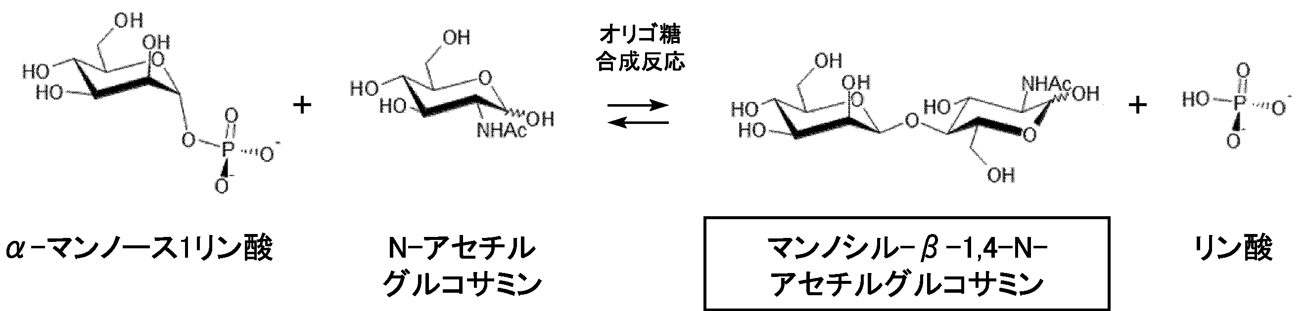 WO2014034274A1 - Oligosaccharide synthetase mannosyl-β-1,4-n ...