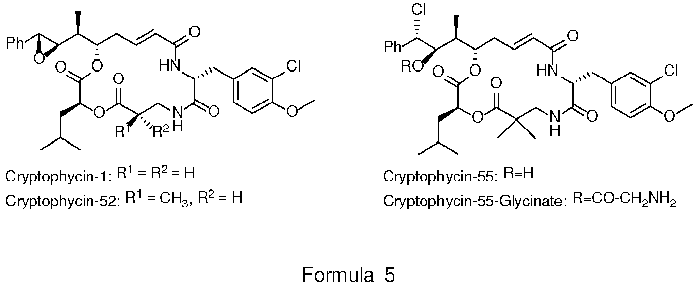 EP3069734A1 - Cryptophycin-based antibody-drug conjugates with novel ...