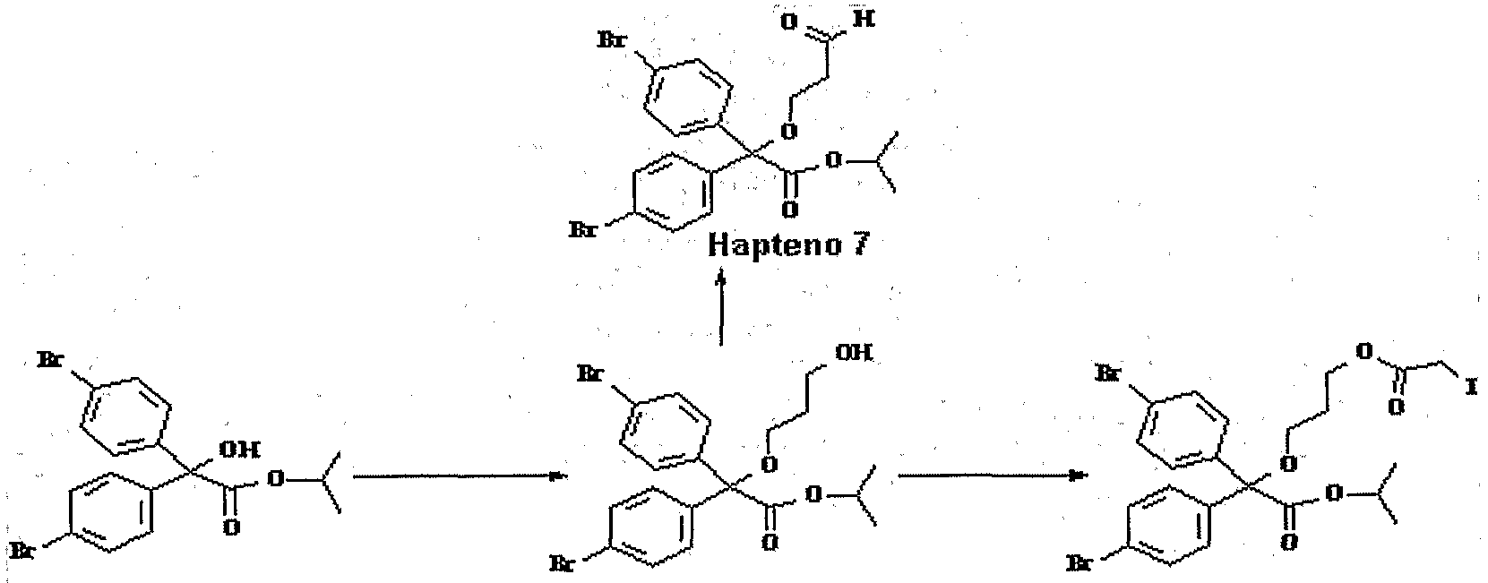 WO2010070167A1 - Haptenos, usos y método inmunoquimico para la ...