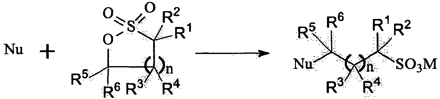 EP1646659B1 - Method for the preparation of 1,3-propane disulfonic acid ...