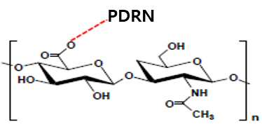 KR20200057144A - Hyaluronic Acid-Polydeoxyribonucleotide Complex and ...