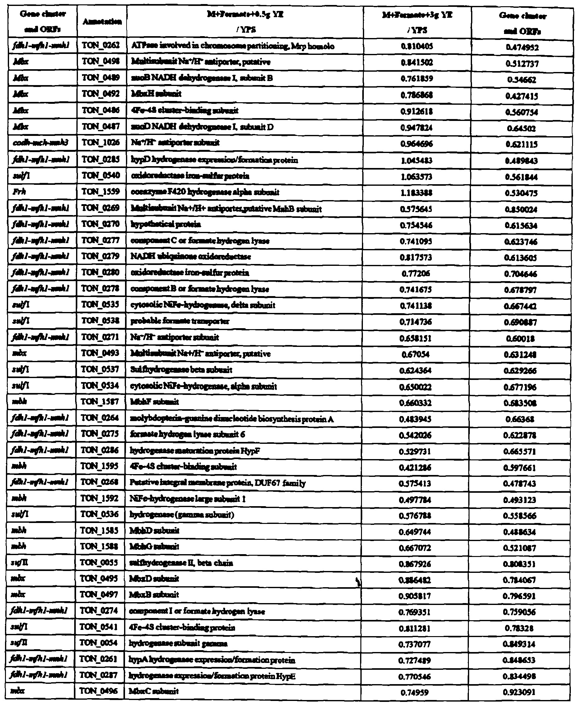 KR20110069744A - Thermococcus spp.로부터 분리된 신규한 수소화효소, 이를 암호화하는 유전자 및 그 ...