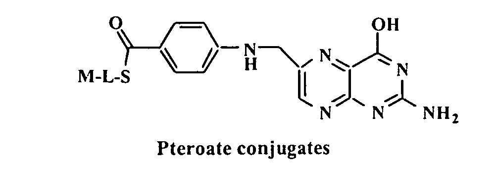 EP1273917A2 - Acridinium ester labels having hydrophilic modifiers ...