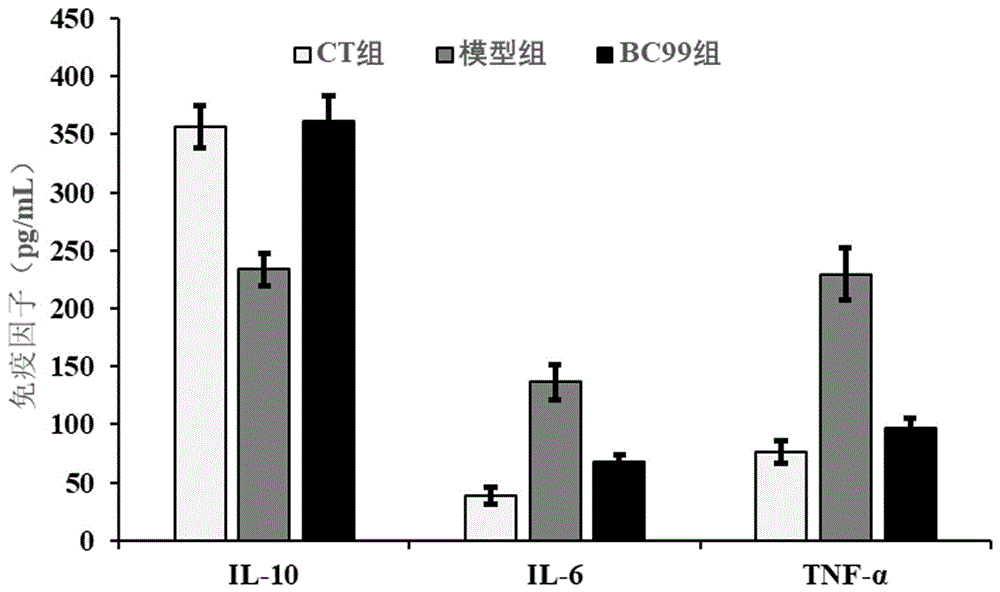 CN114468306B - Application of bacillus coagulans BC99 in preparation of ...