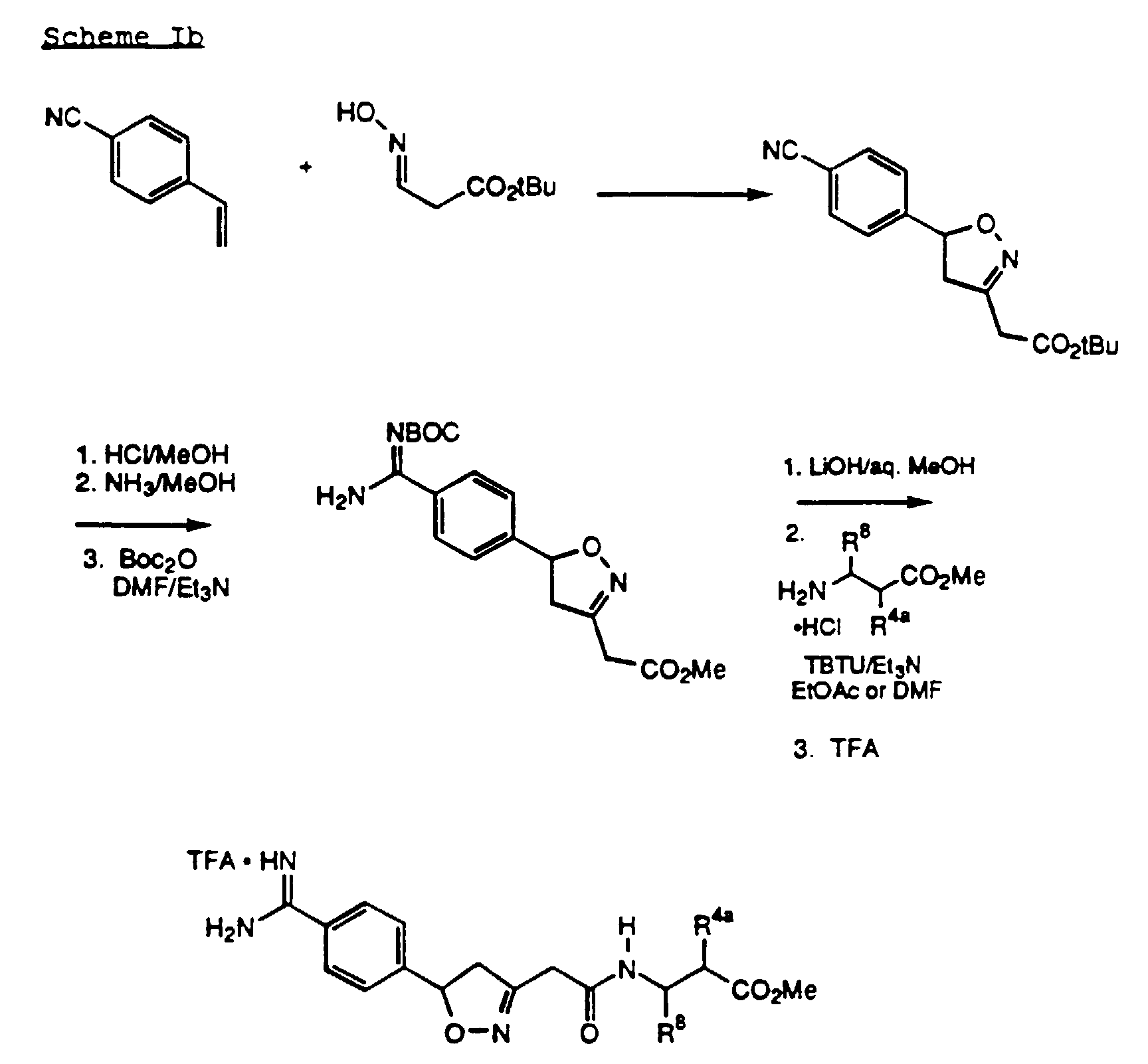 EP0730590B1 - isoxazoline and isoxazole fibrinogen receptor antagonists ...