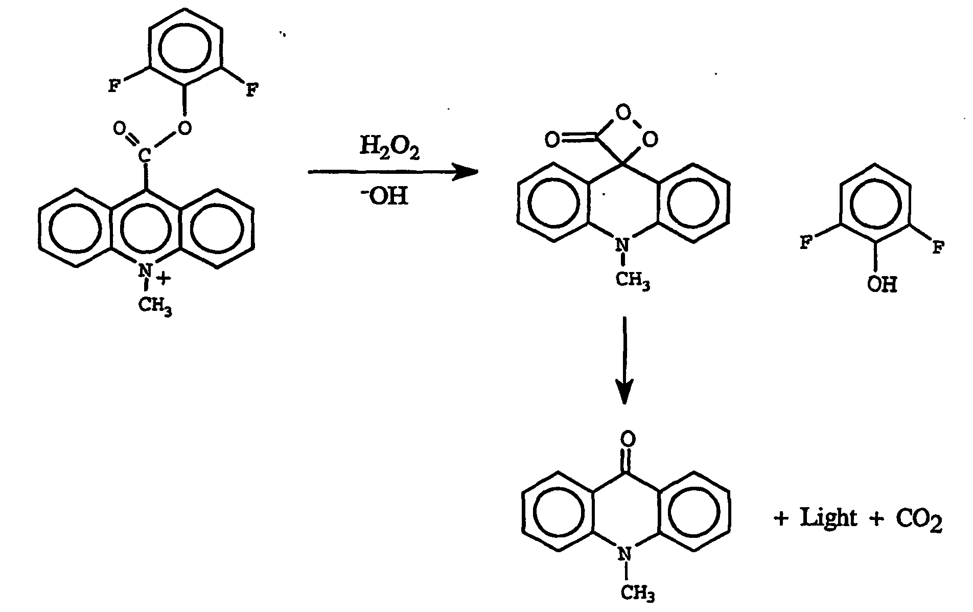 EP1322670B1 - Electrochemiluminescence from acridan compounds - Google ...