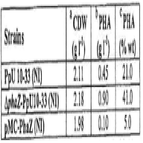 KR20150004830A - 유전적으로 조작된 pha 생산 미생물 - Google Patents