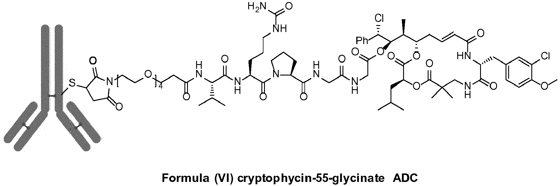 EP3069734A1 - Cryptophycin-based antibody-drug conjugates with novel ...