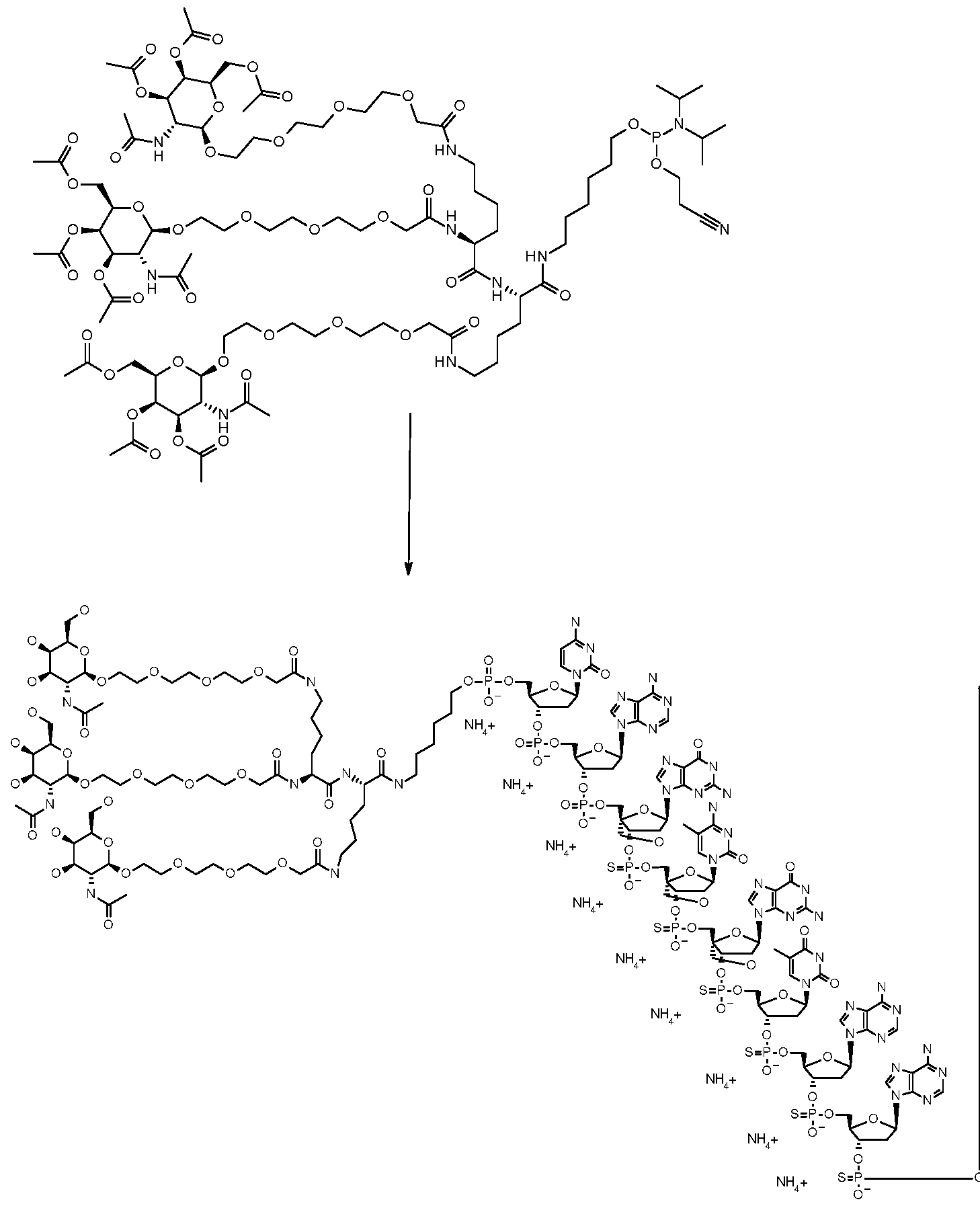 WO2017084987A1 - GalNAc CLUSTER PHOSPHORAMIDITE - Google Patents