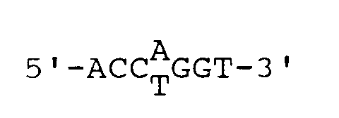 EP0582976B1 - Type II-restriction endonuclease sexAI - Google Patents