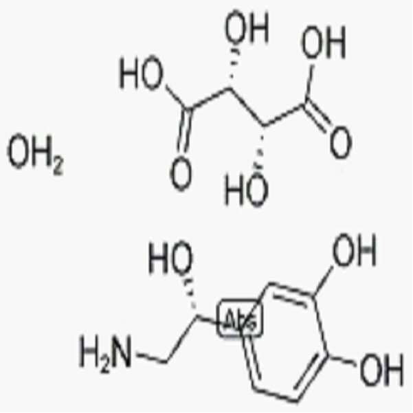 KR20130070370A - 퇴행성 신경질환 예방 또는 치료용 조성물 - Google Patents
