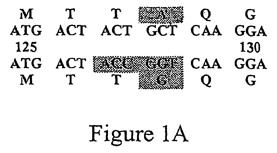 EP1780285A1 - Improved virus like particles (VLP) based on the small ...