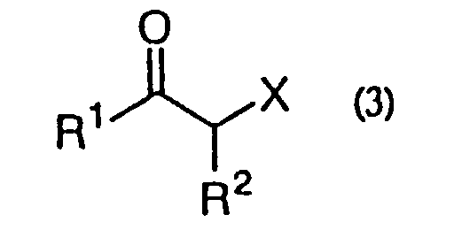 EP0754669A1 - Processes for producing alpha-halo ketones, alpha ...