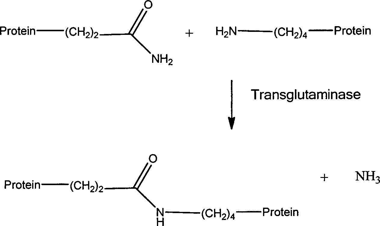DE102010062600A1 - hydrophobized protein hydrolyzate - Google Patents