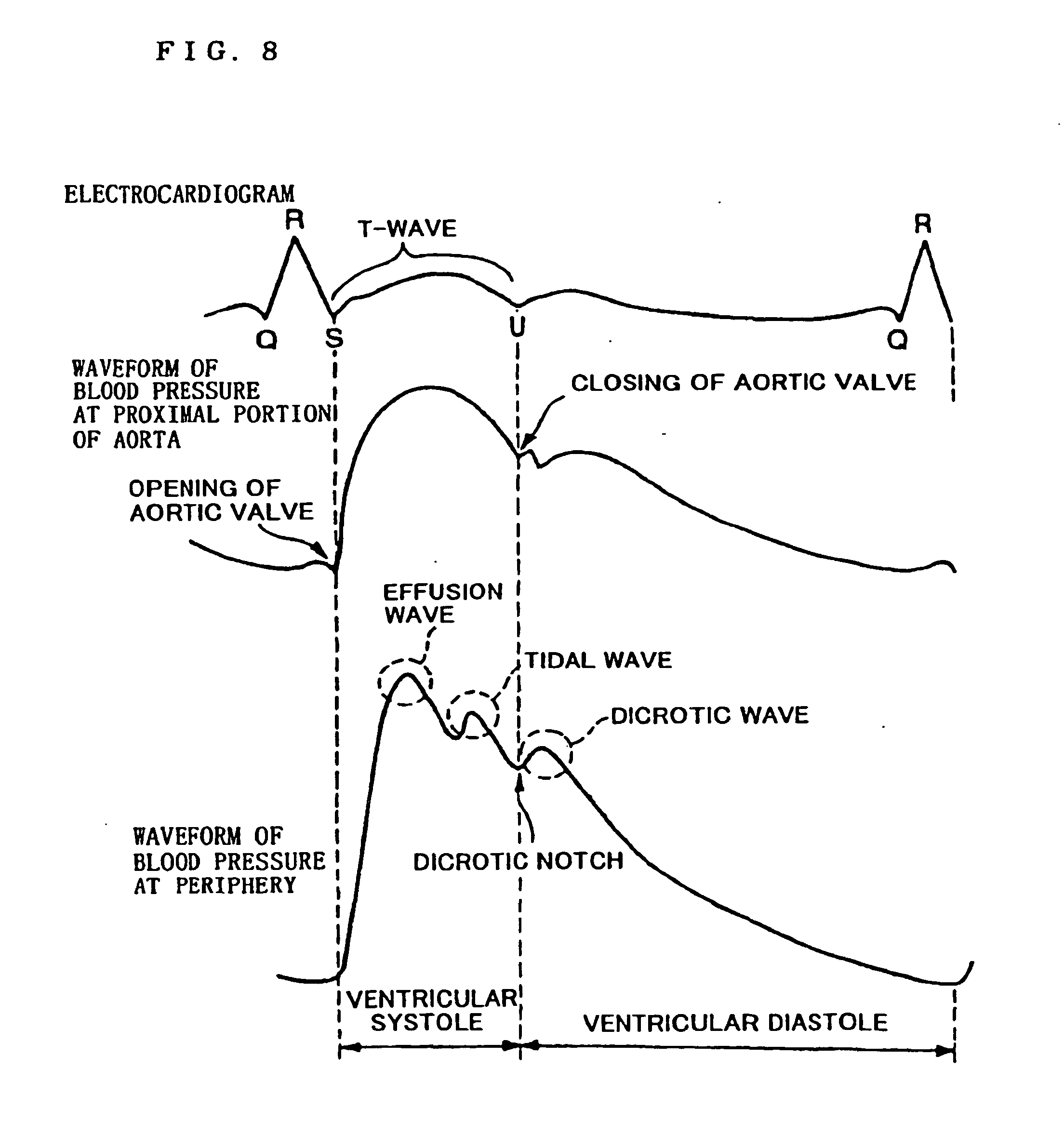 dicrote - définition - C'est quoi