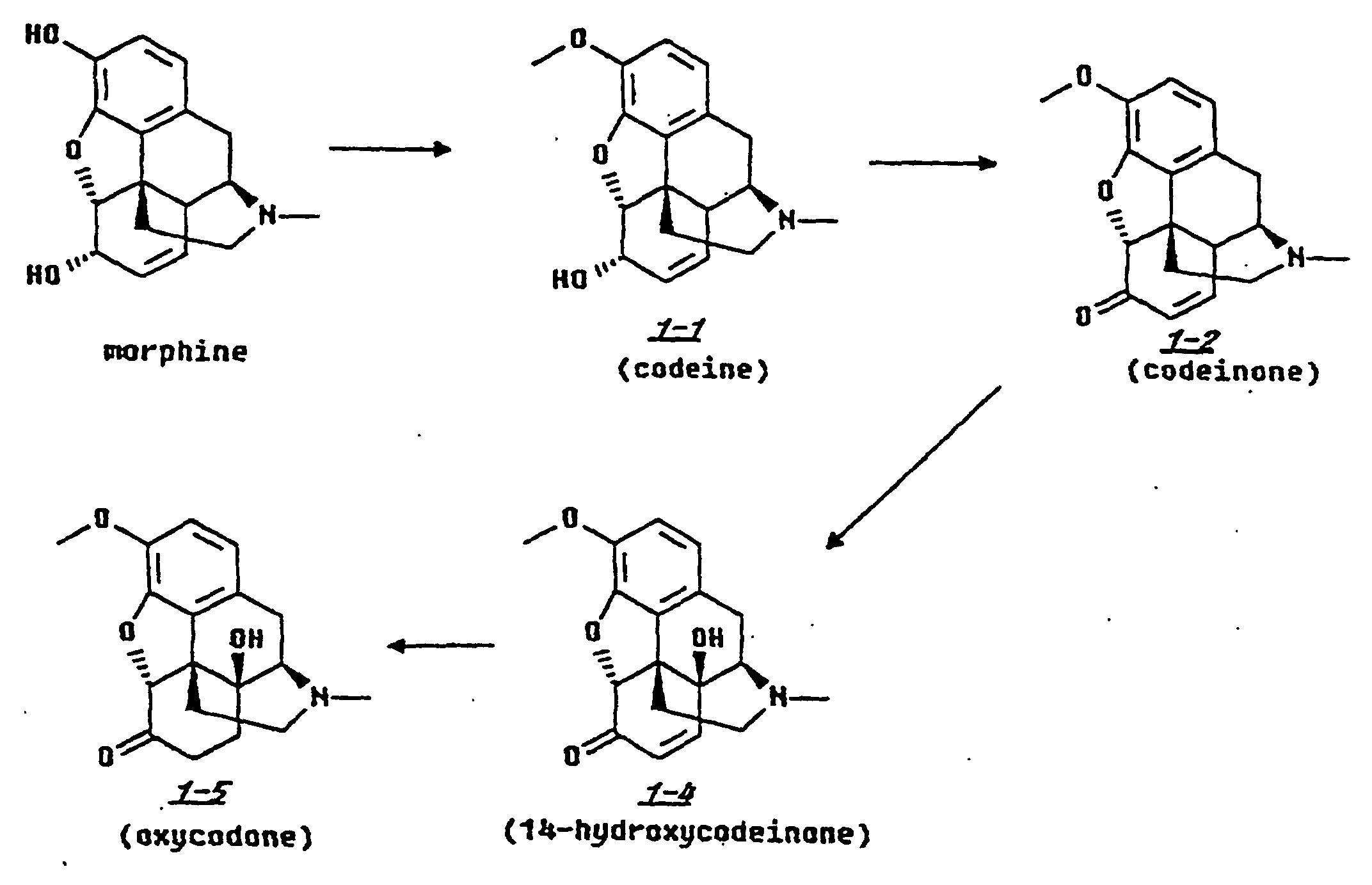 Patent EP1000065B1 - Preparation of oxymorphone, oxycodone and ...