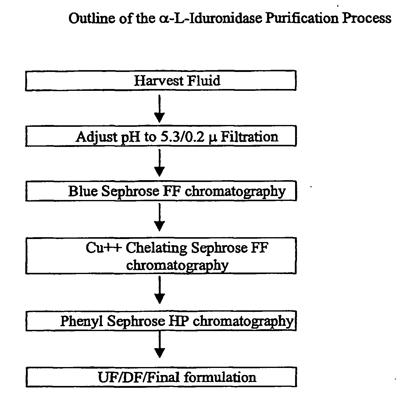 Iduronidase - Alchetron, The Free Social Encyclopedia