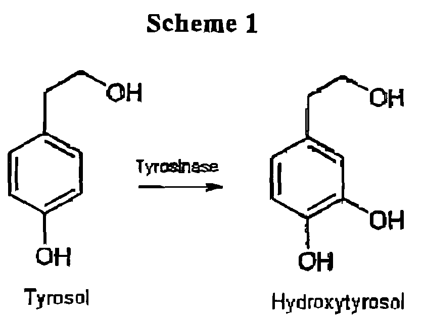Tyrosol - Alchetron, The Free Social Encyclopedia