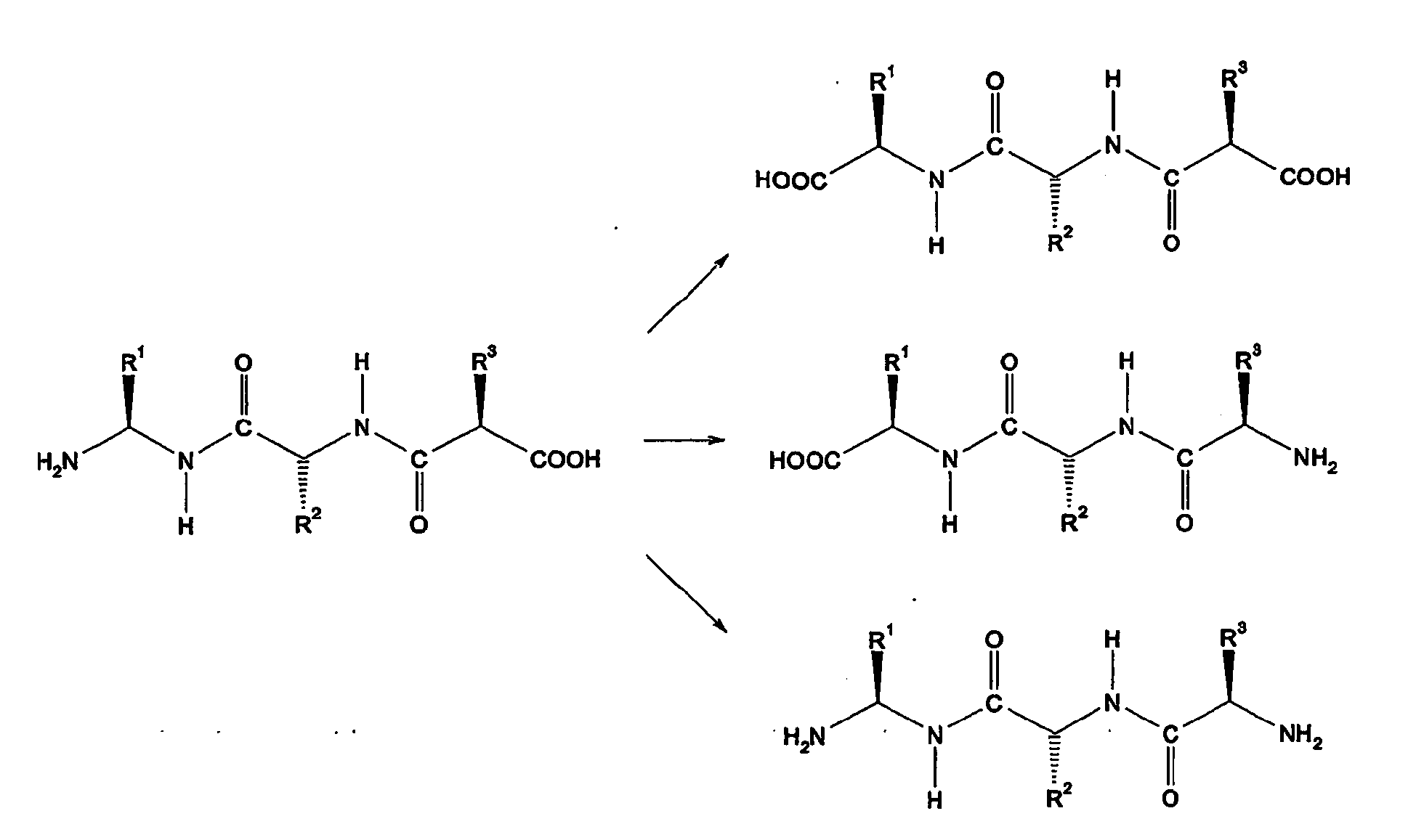Carboxyl Functional Group Structure Sketch Coloring Page