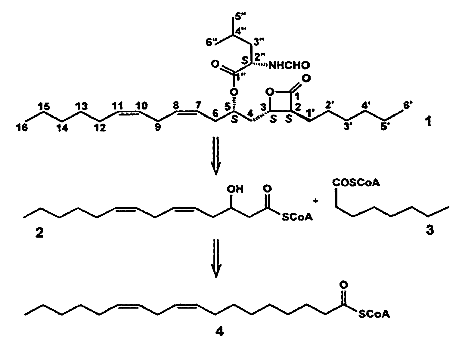Lipstatin - Alchetron, The Free Social Encyclopedia
