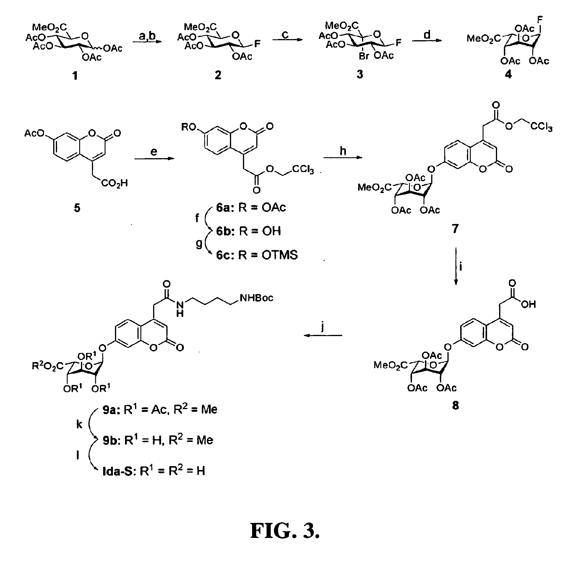 Iduronidase - Alchetron, The Free Social Encyclopedia