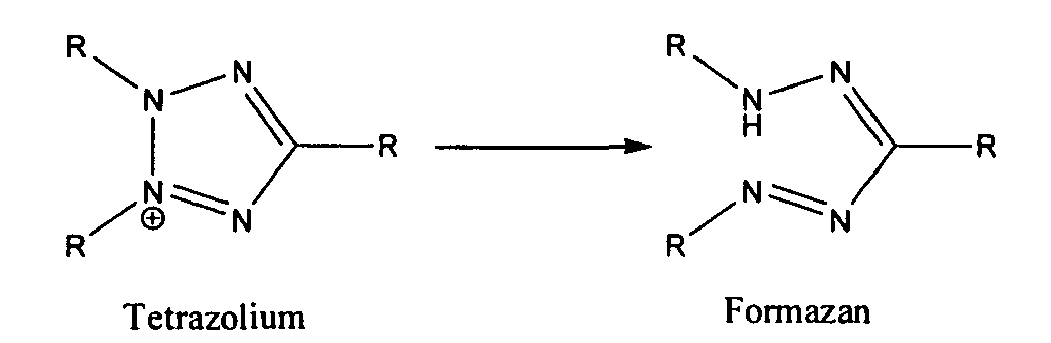 Formazan - Alchetron, The Free Social Encyclopedia