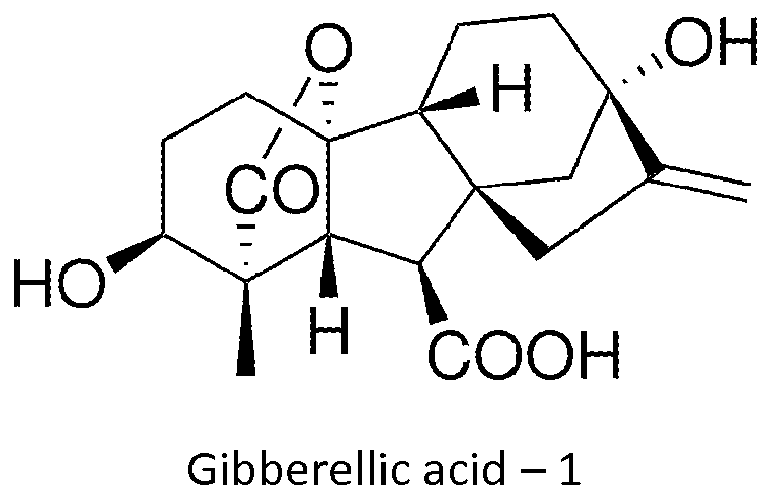 Gibberellic acid - Alchetron, The Free Social Encyclopedia