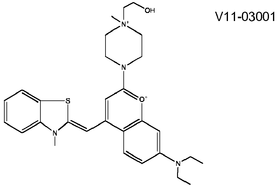 eva green dye for real time pcr