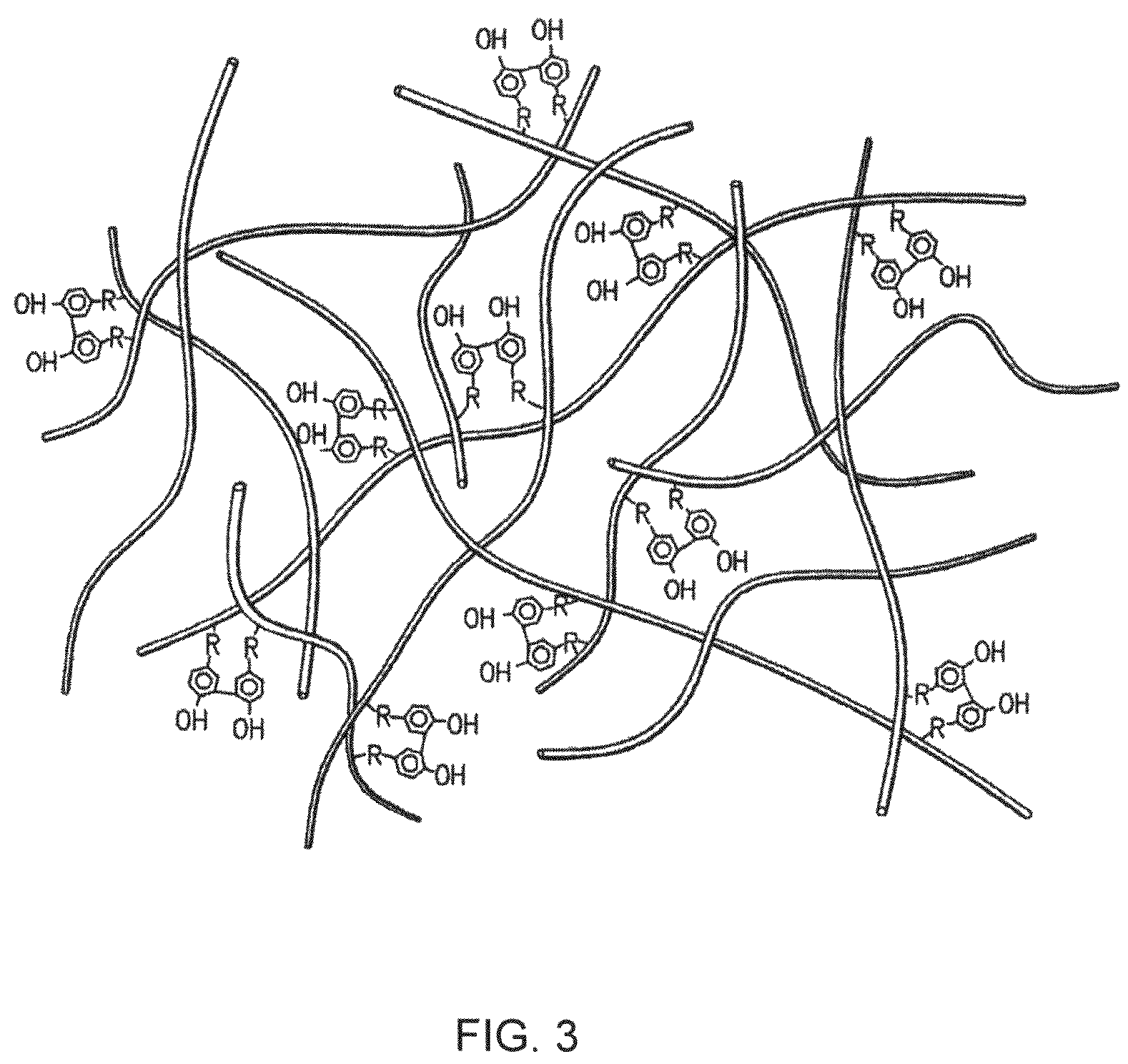 Bone Matrix Coloring Key Sketch Coloring Page