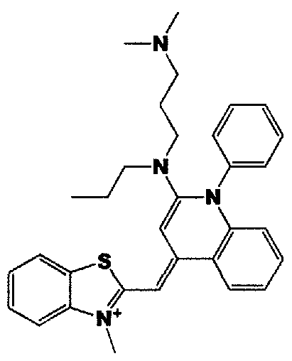 eva green dye for real time pcr