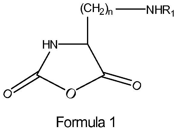 polyornithine - meddic