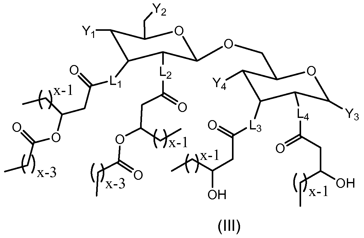 Lipid Structure Coloring Pages