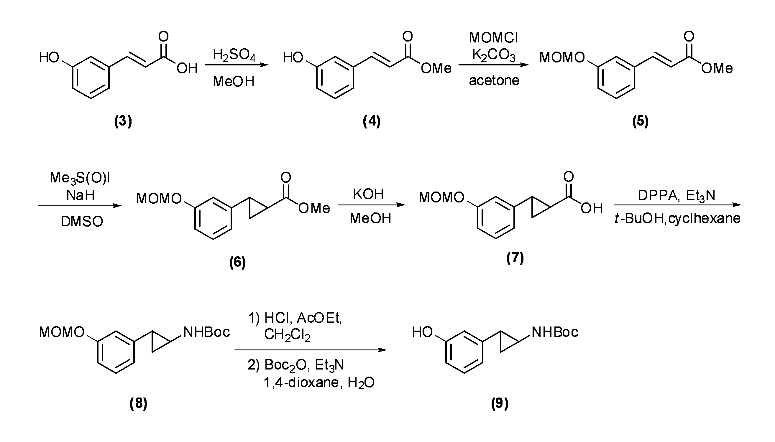 Images of PyBOP - JapaneseClass.jp