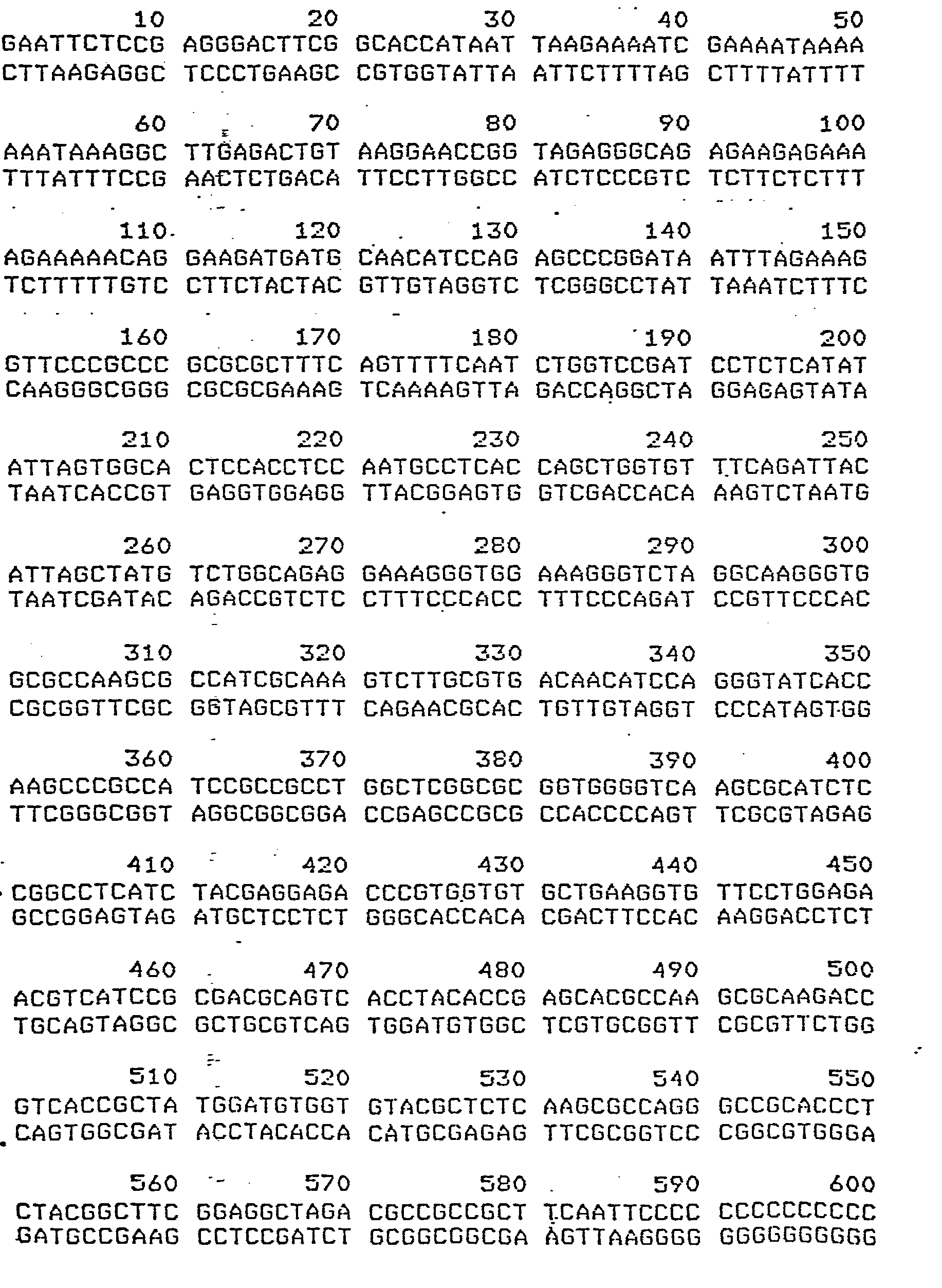 EP0120658A2 - Method for identifying and characterizing organisms ...