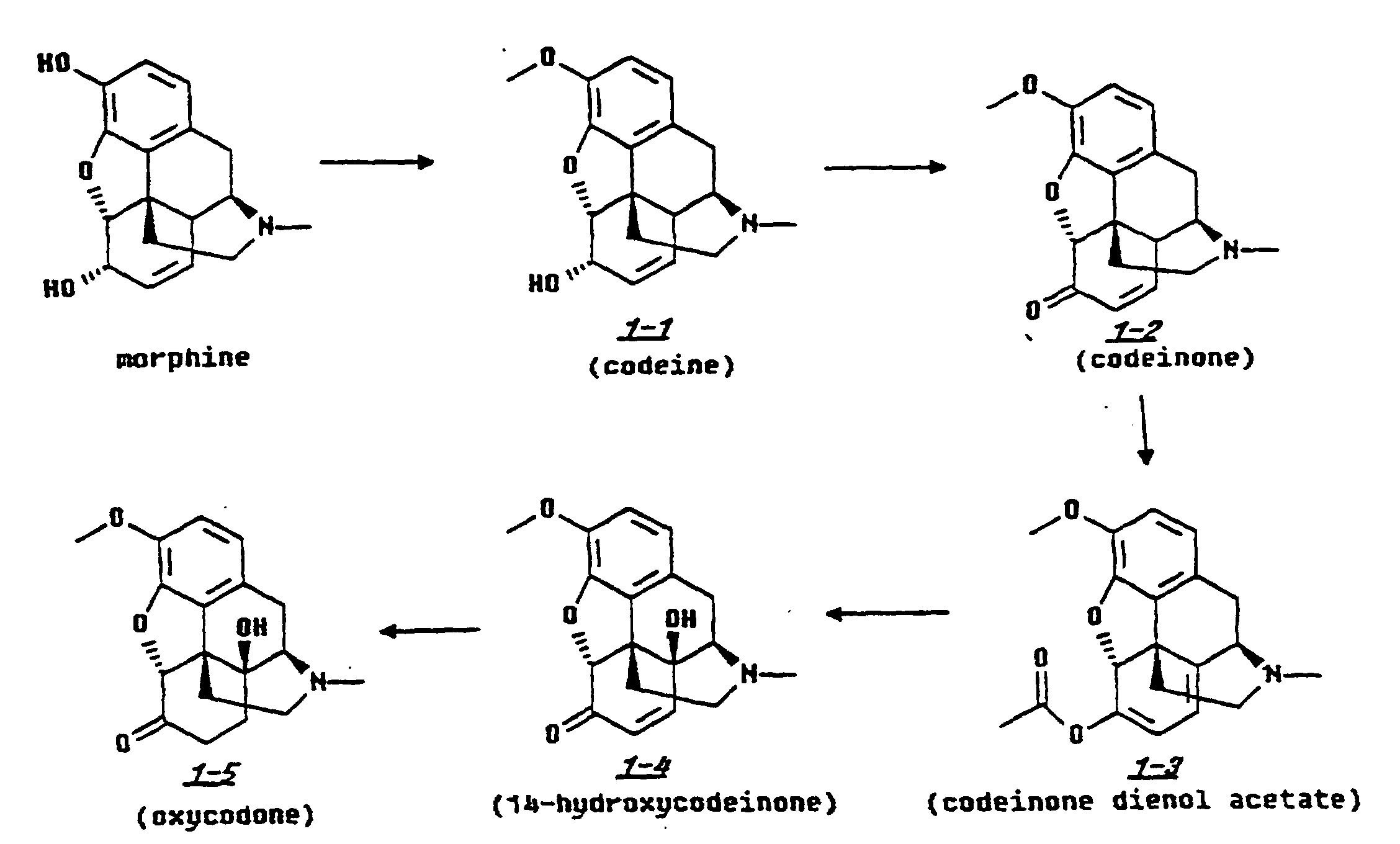 EP1000065B1 - Preparation of oxymorphone, oxycodone and derivatives ...
