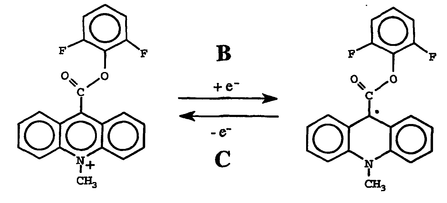 EP1322670B1 - Electrochemiluminescence from acridan compounds - Google ...