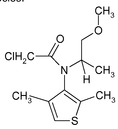 WO2013026811A1 - Herbicidal compositions comprising chloroacetamides ...