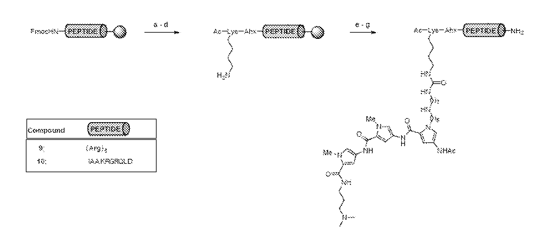 EP2336108A1 - Hybrid tripyrrole-octaarginine compounds and their use as ...