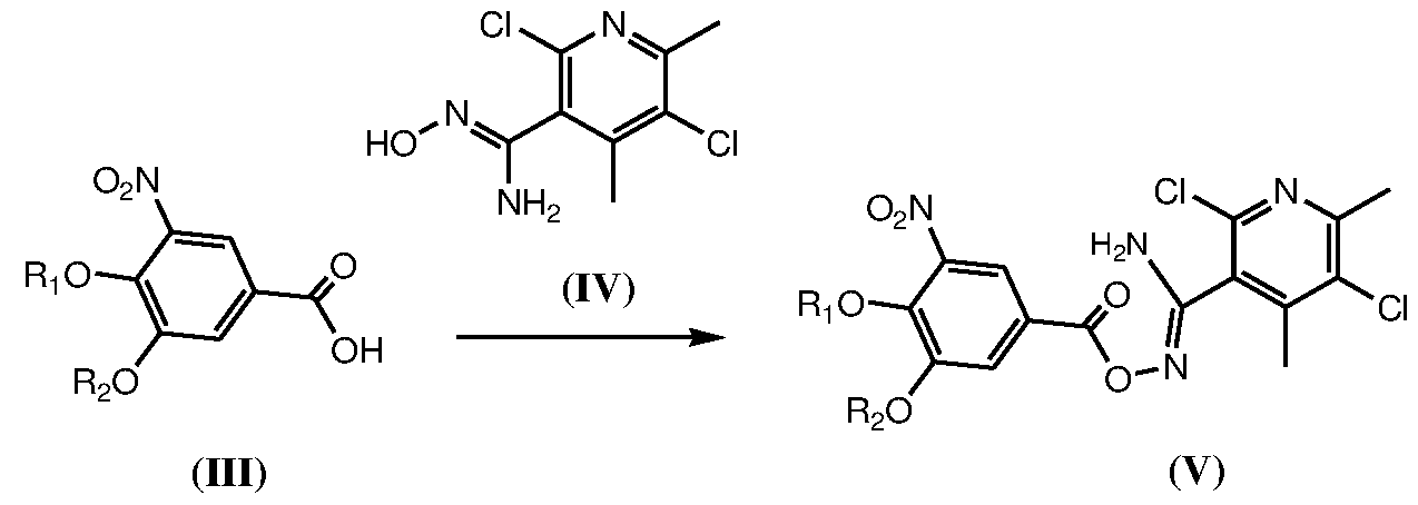 WO2019123066A1 - Process for the preparation of opicapone and ...