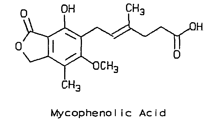 EP1475091A1 - Mycophenolate mofetil - high dose oral suspensions ...