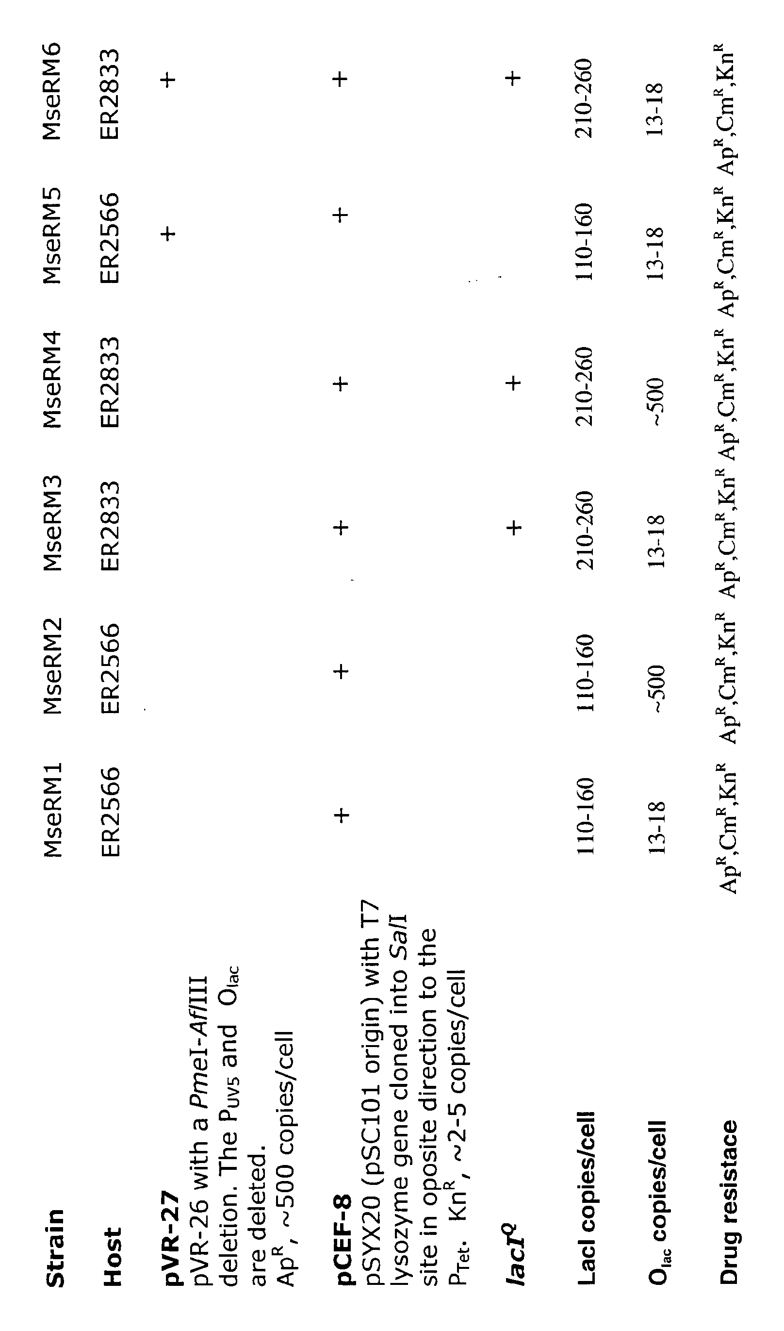 EP1197549A2 - Method for cloning and producing the MseI restriction ...