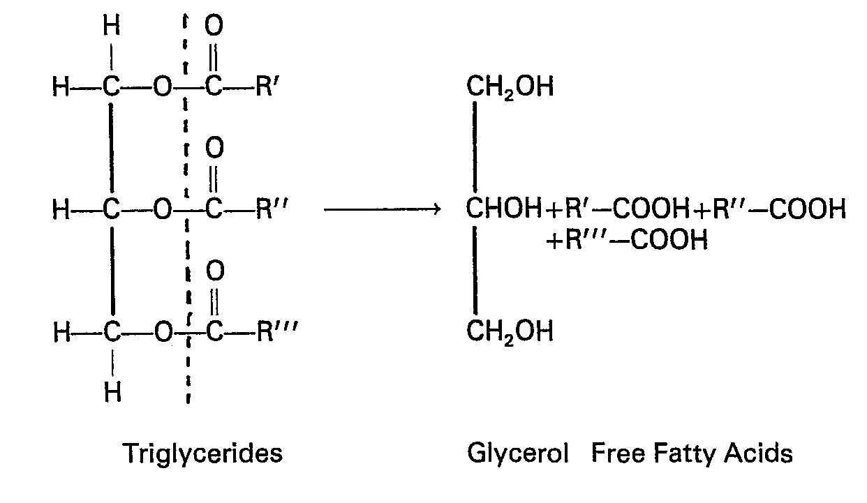 EP0019253B1 - Test device, composition and method for the determination ...