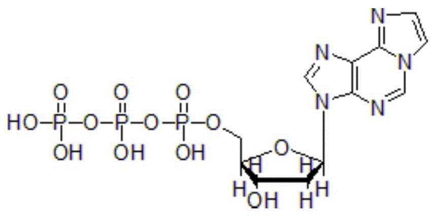 CN110904187A - Taq enzyme activity determination method - Google Patents